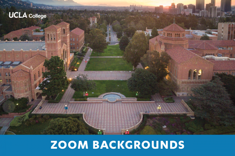 College Brand – UCLA College